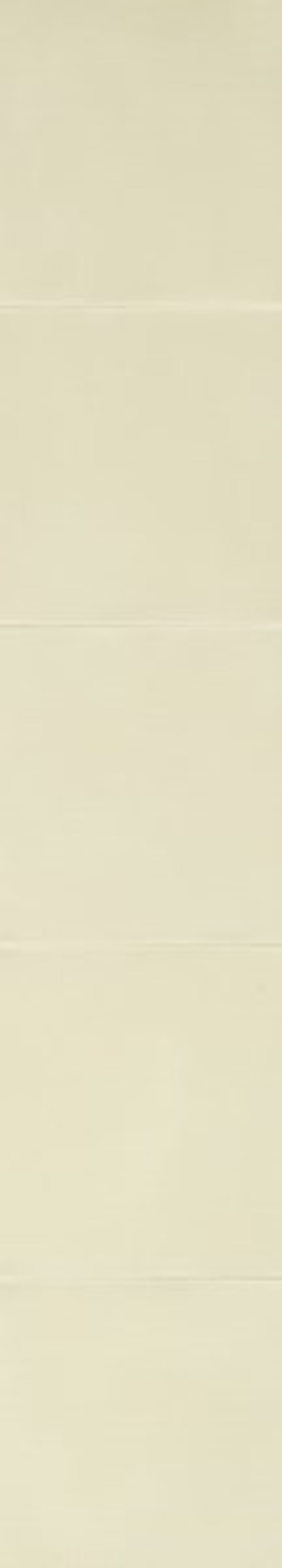 Set of 10 Plain Bone Tiles | Tiles